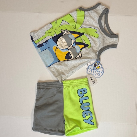 Bluey | Matching Sets | Bluey Kids Matching Set Gray And Green | Poshmark